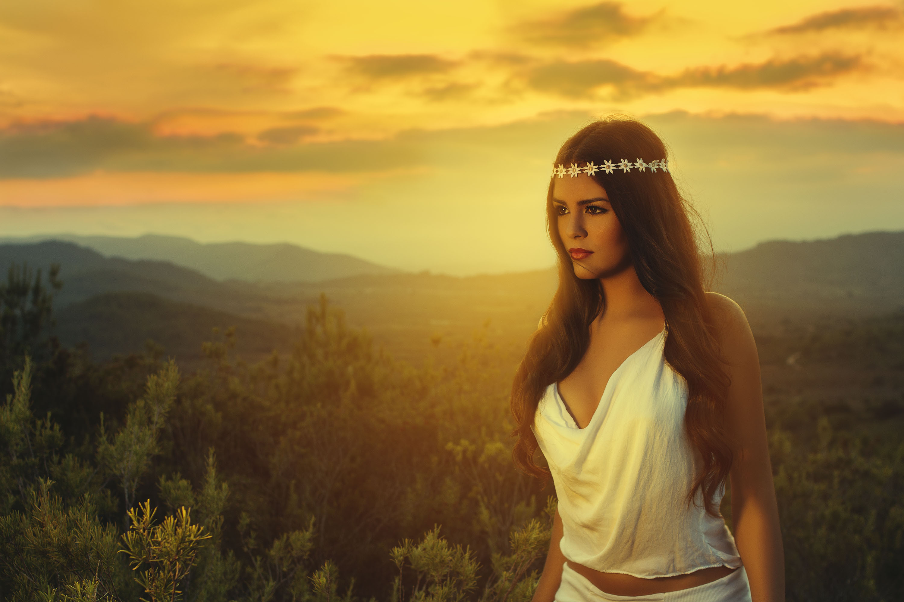 La princesa Roxana – Simon Planes